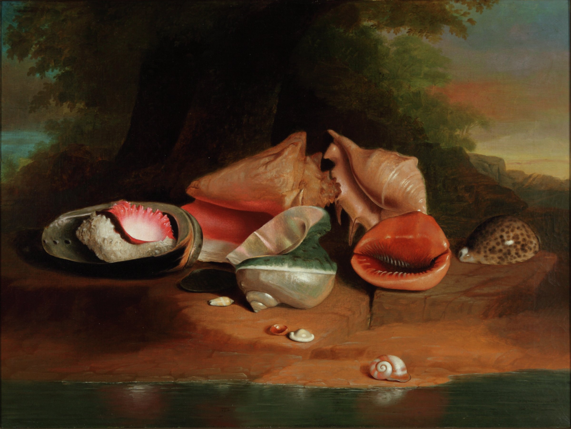 American Still Life - High Museum of Art