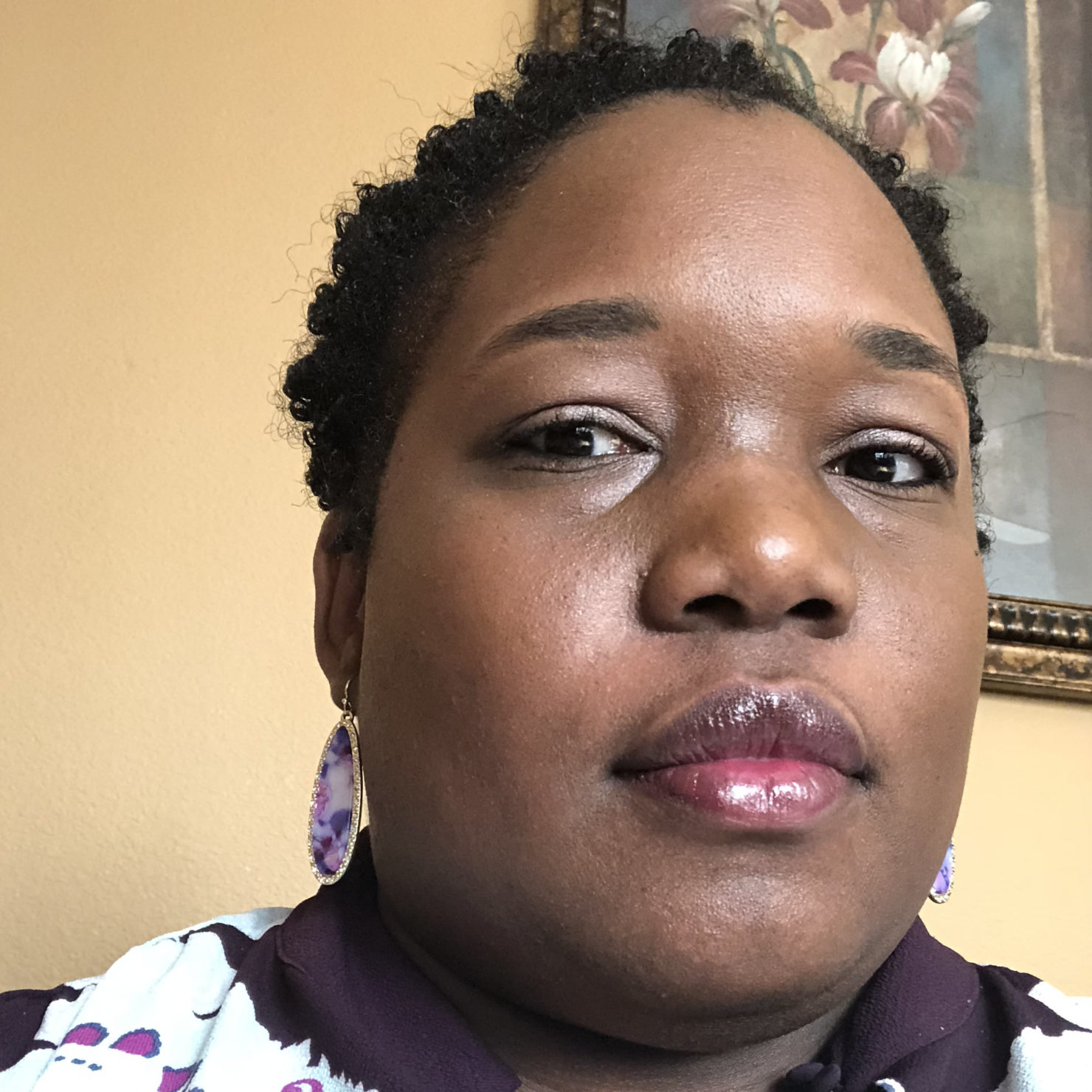 Teacher Resource Kit Picture the Dream: The Story of the Civil Rights ...