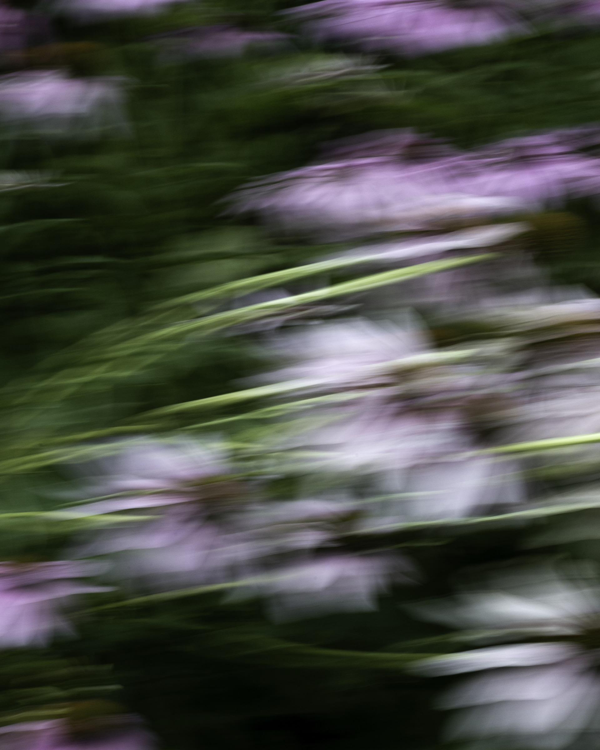 Truth Told Slant Press Images - High Museum of Art